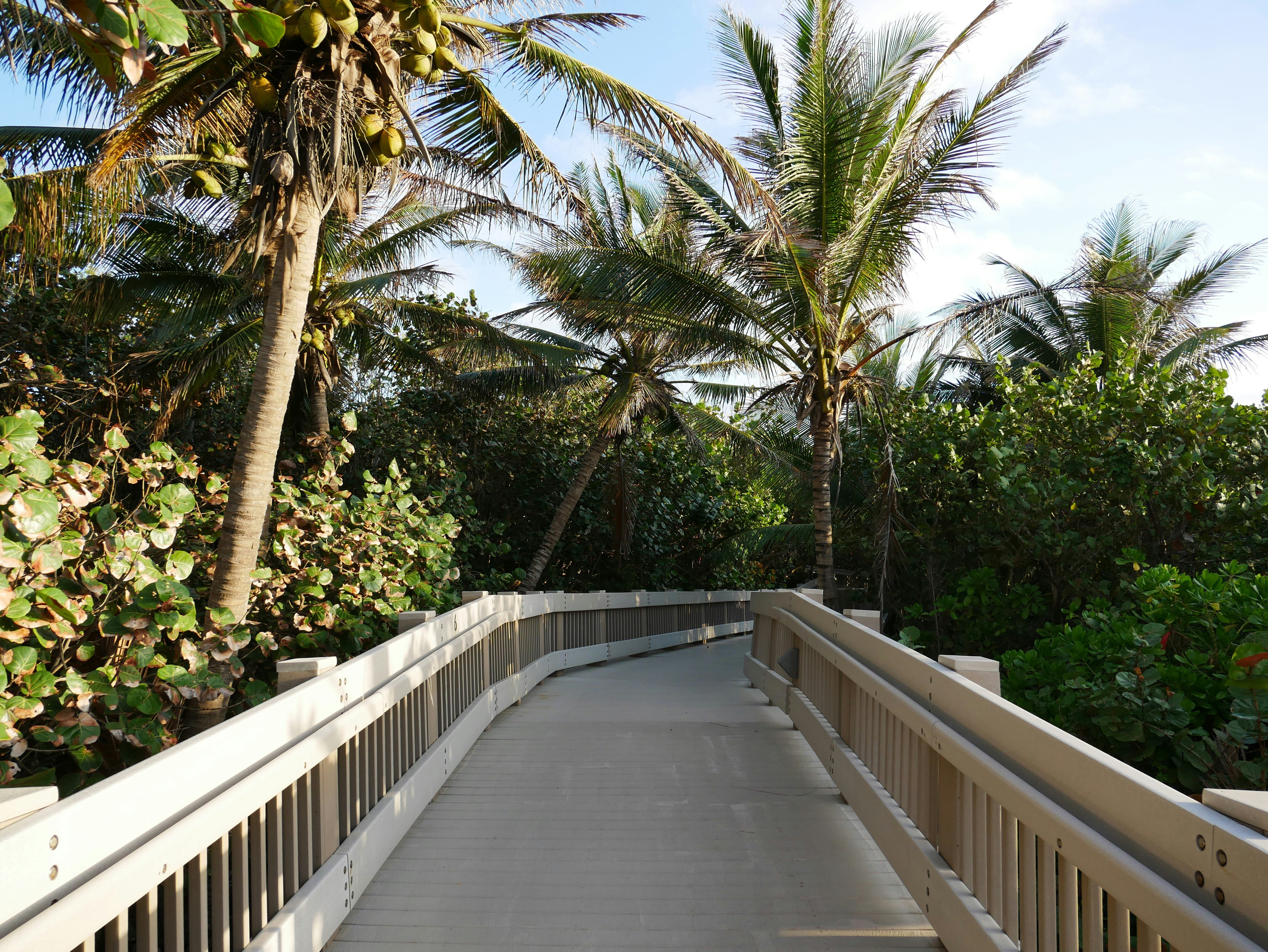 Aegis Capital Recruits Boca Raton (FL) Advisor from Morgan Stanley